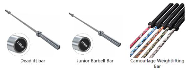 Barbell Supplier Guide: Enhance Your Gym's Performance with the Right ...