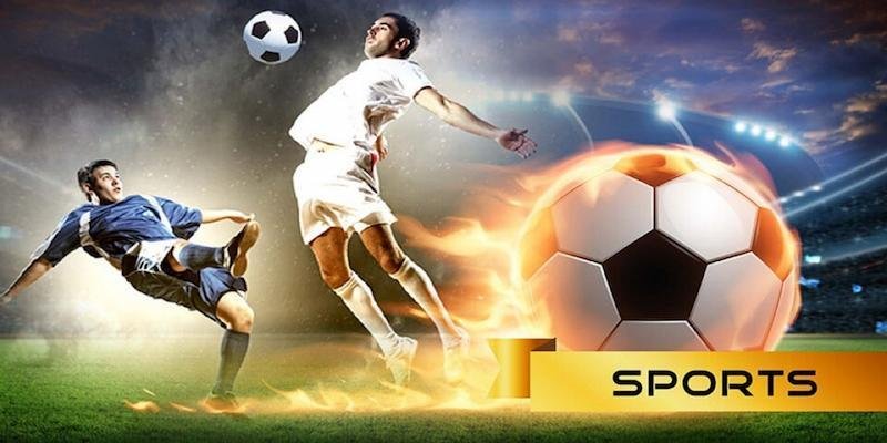 Information you may not know about football